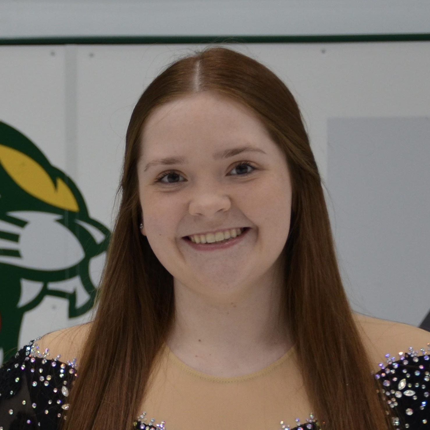 Marquette Figure Skating Club - About